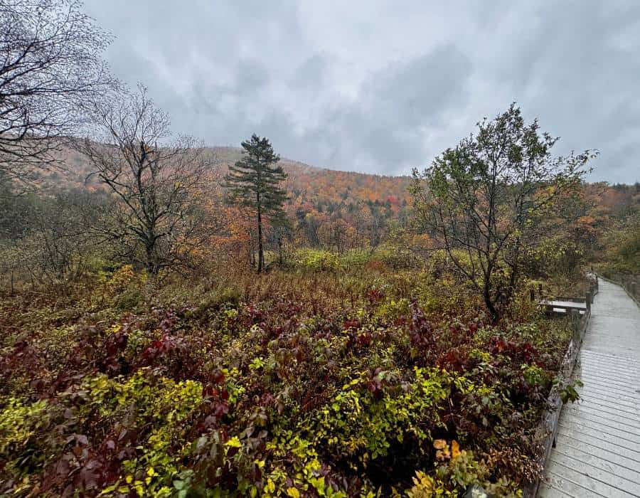 5 Short Easy Hikes to Beautiful Waterfalls in Vermont