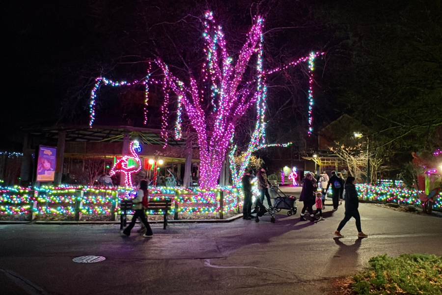 Top Holiday Adventures Around Indianapolis, Indiana