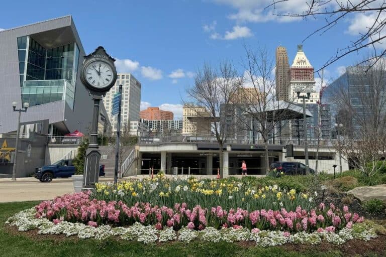 The Best Places to See Spring Flowers in Cincinnati