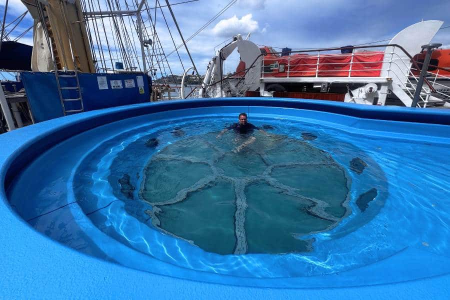 Sail Away on the Royal Clipper - The Largest Sailing Vessel in the World