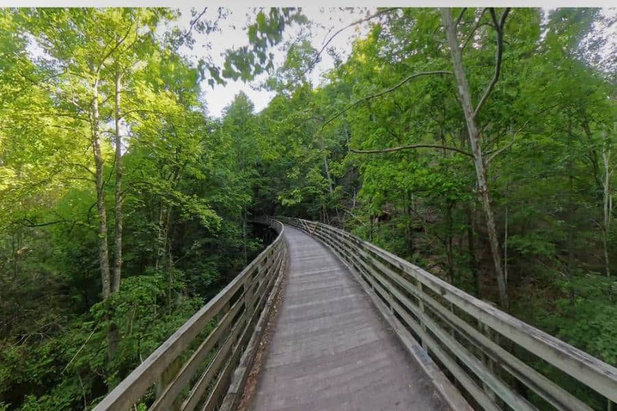 Bike the "The Virginia Creeper Trail" From Abingdon, VA