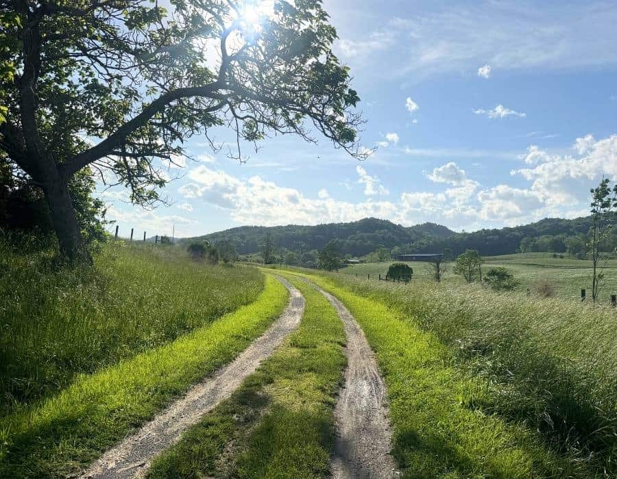 Bike the "The Virginia Creeper Trail" From Abingdon, VA