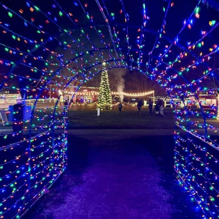 10+ Cincinnati Holiday Events That You Don't Want to Miss!