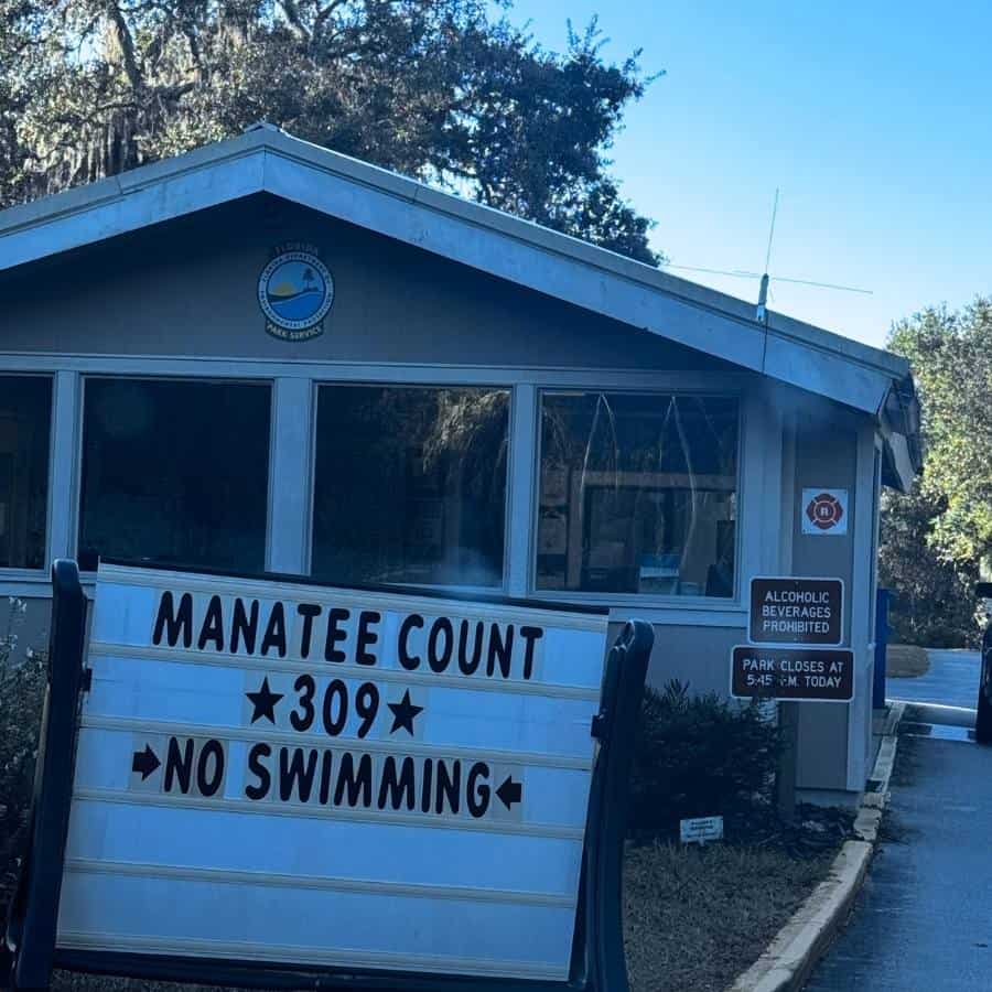Tips For Viewing the Manatees at Blue Spring State Park