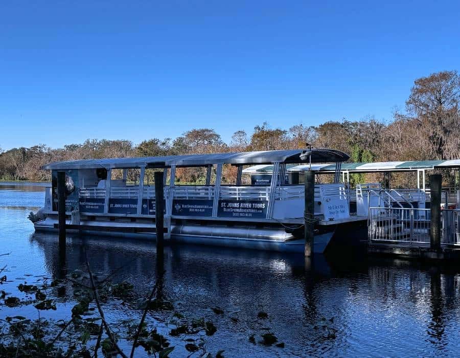 Tips For Viewing the Manatees at Blue Spring State Park