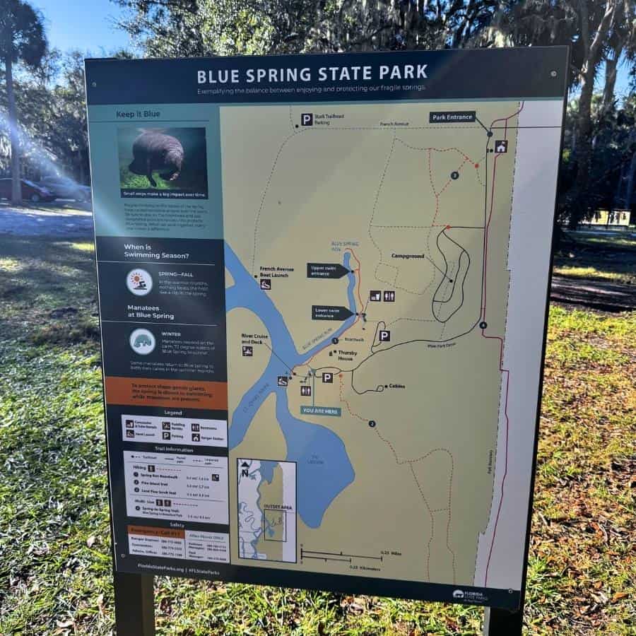 Tips For Viewing the Manatees at Blue Spring State Park